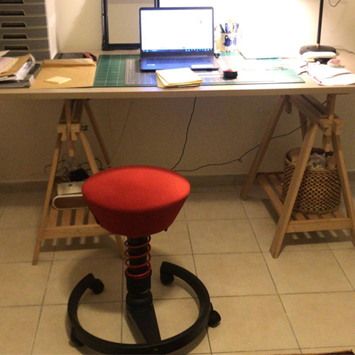 אילנה הרוש | Ergonome